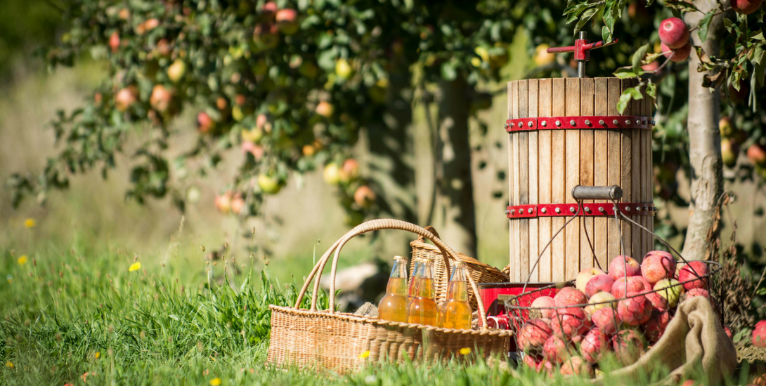 How To Make (Good) Cider At Home – Country Trading Co. NZ