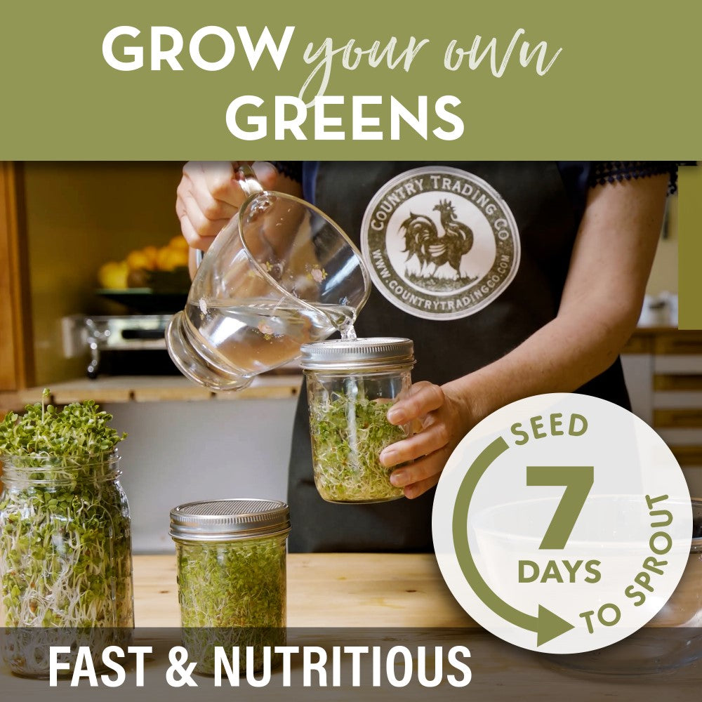 Sprouting Seeds Jar Lids (3 pack) & Guide – Country Trading Co. NZ