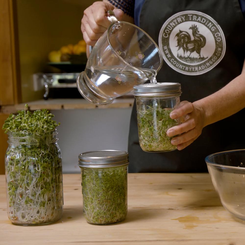 Sprouting Seeds Jar Lids (3 pack) & Guide – Country Trading Co. NZ