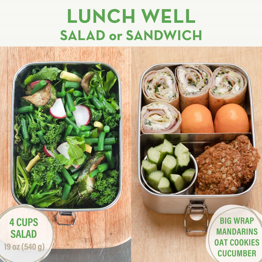 Stainless Steel Lunch Box (1200ml) Recipe Book + Cooler Bag – Country ...