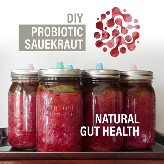 Fermentation Kit for Vegetable Pickles - Sauerkraut Kimchi + More ...